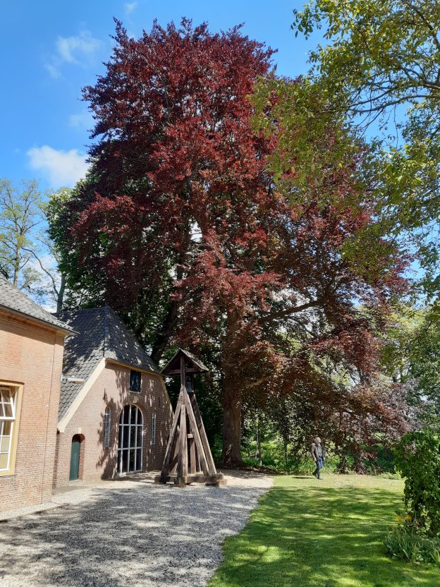 Huize Baak rode beuk - Vereniging Bomenbelang Bronckhorst